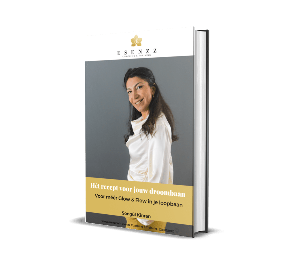 E-guide: Hèt recept voor je droombaan - Esenzz Loopbaancoaching